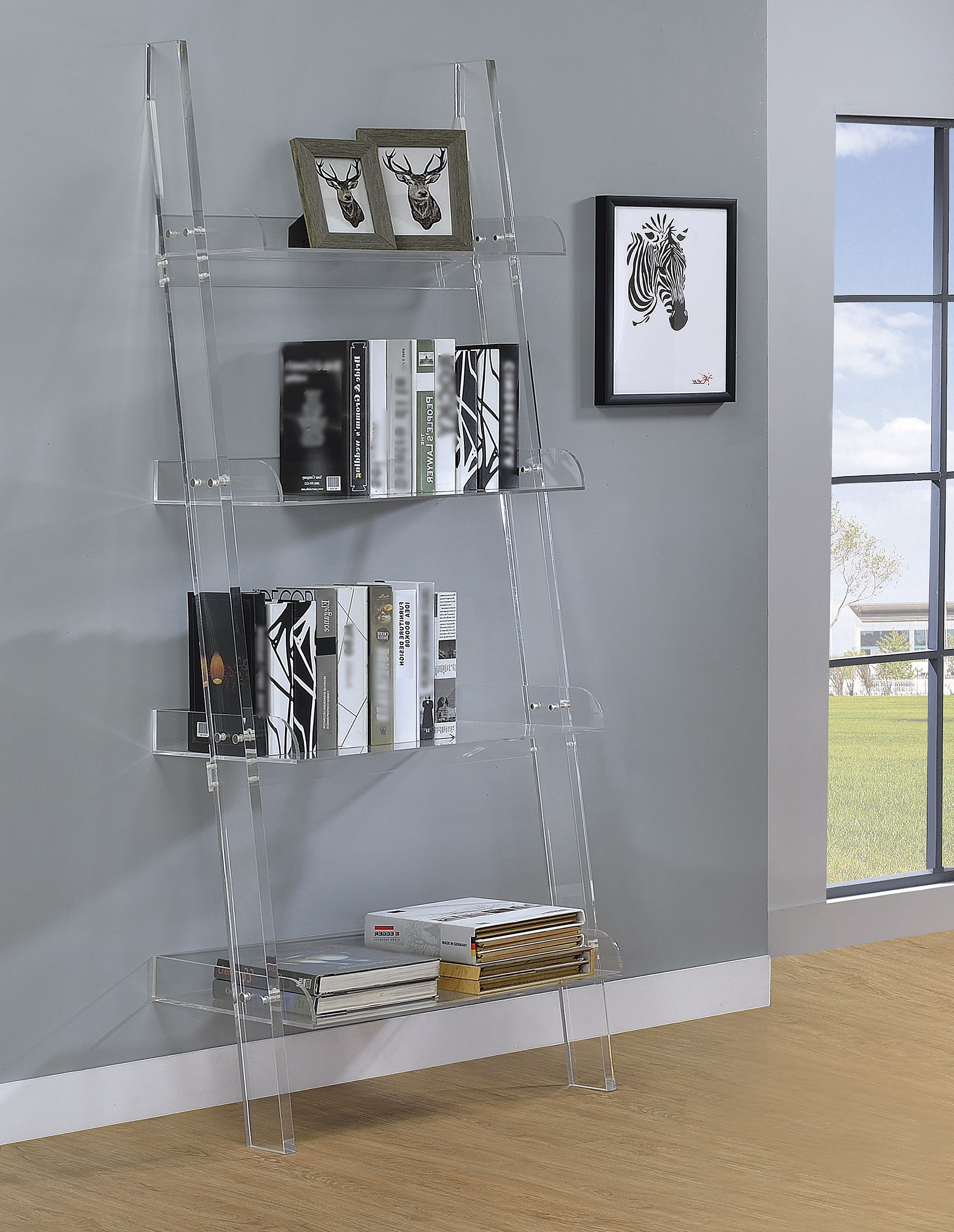 Orren Ellis Dagulo Clear Plastic Ladder Bookcase Reviews Wayfair